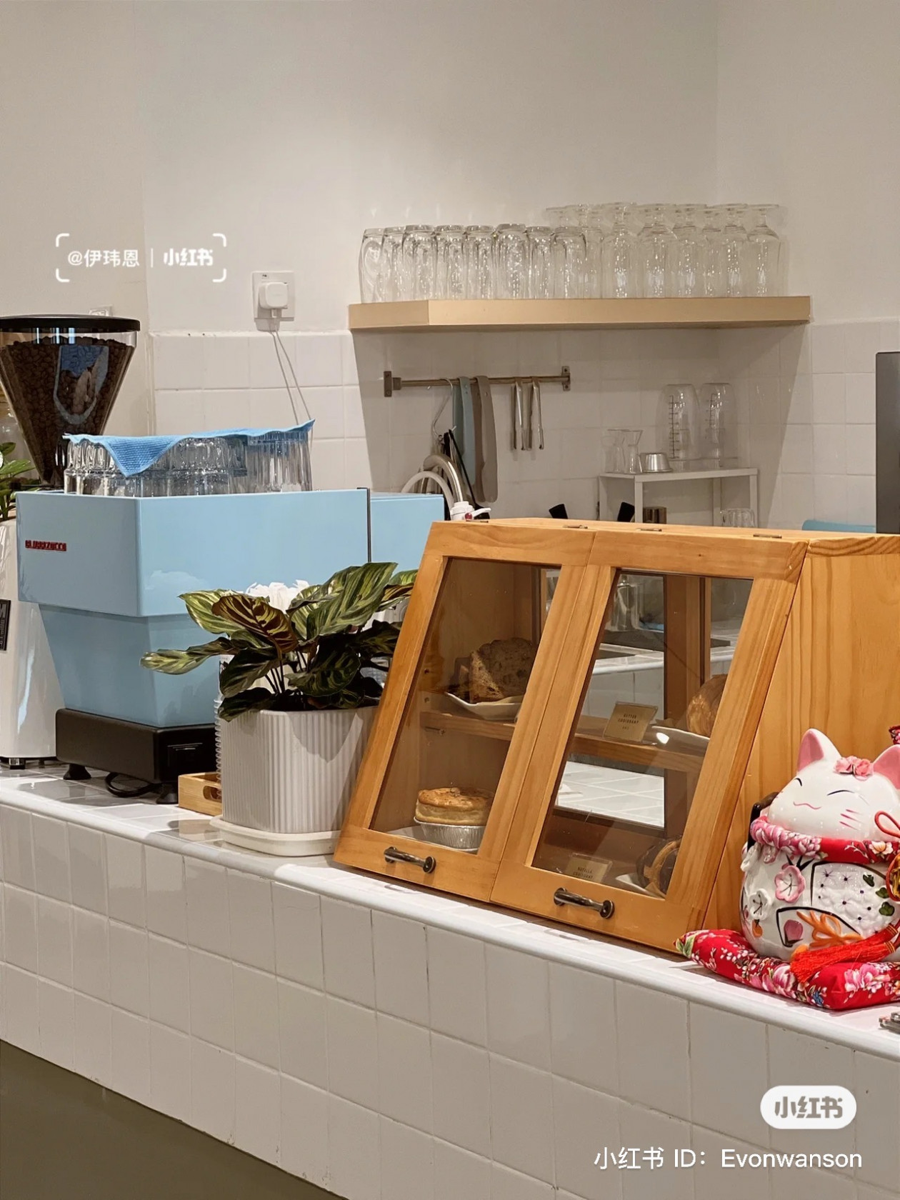 人气TOP10「OUG咖啡厅」推荐！隐藏于老店屋中的热门探店，其中最新侘寂风cafe必访！