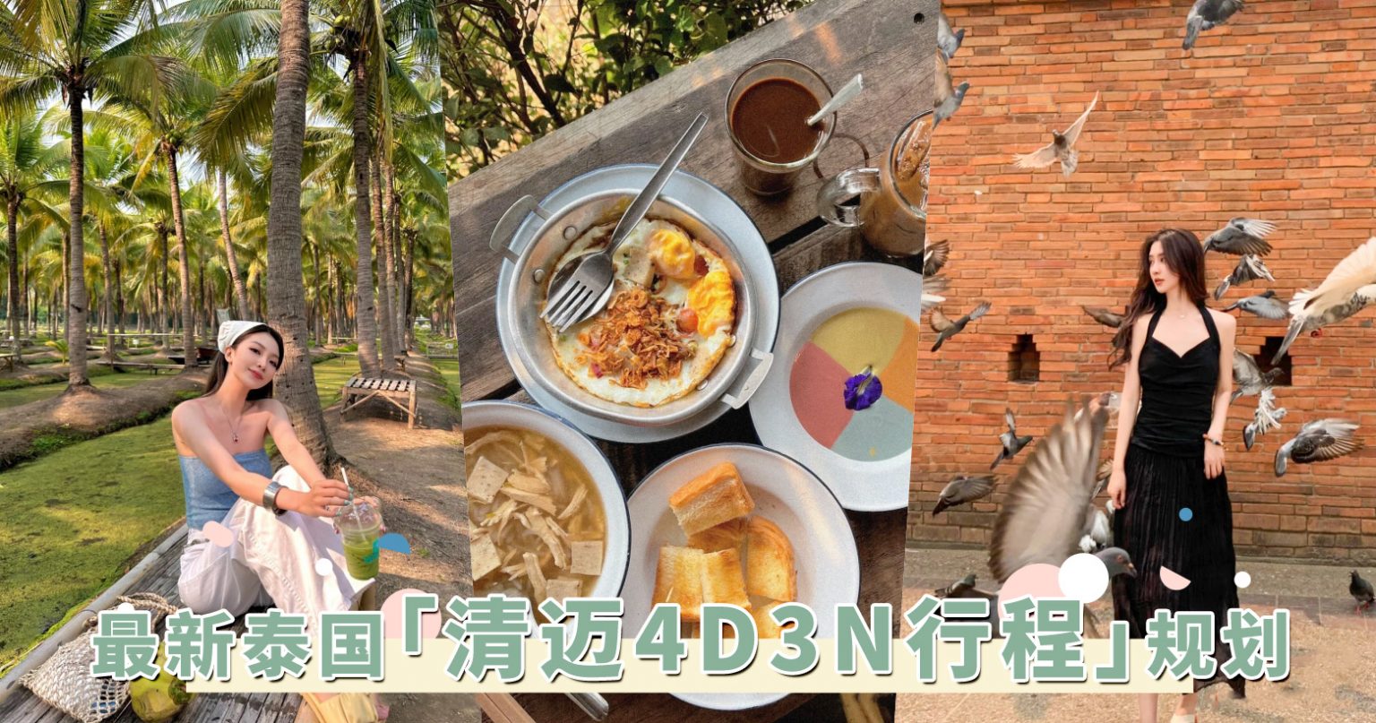拿去抄作业！「4D3N清迈完整行程」攻略，椰林市集、梦游仙境探店必访！ - PopDaily 波波黛莉的异想世界 - 马来西亚
